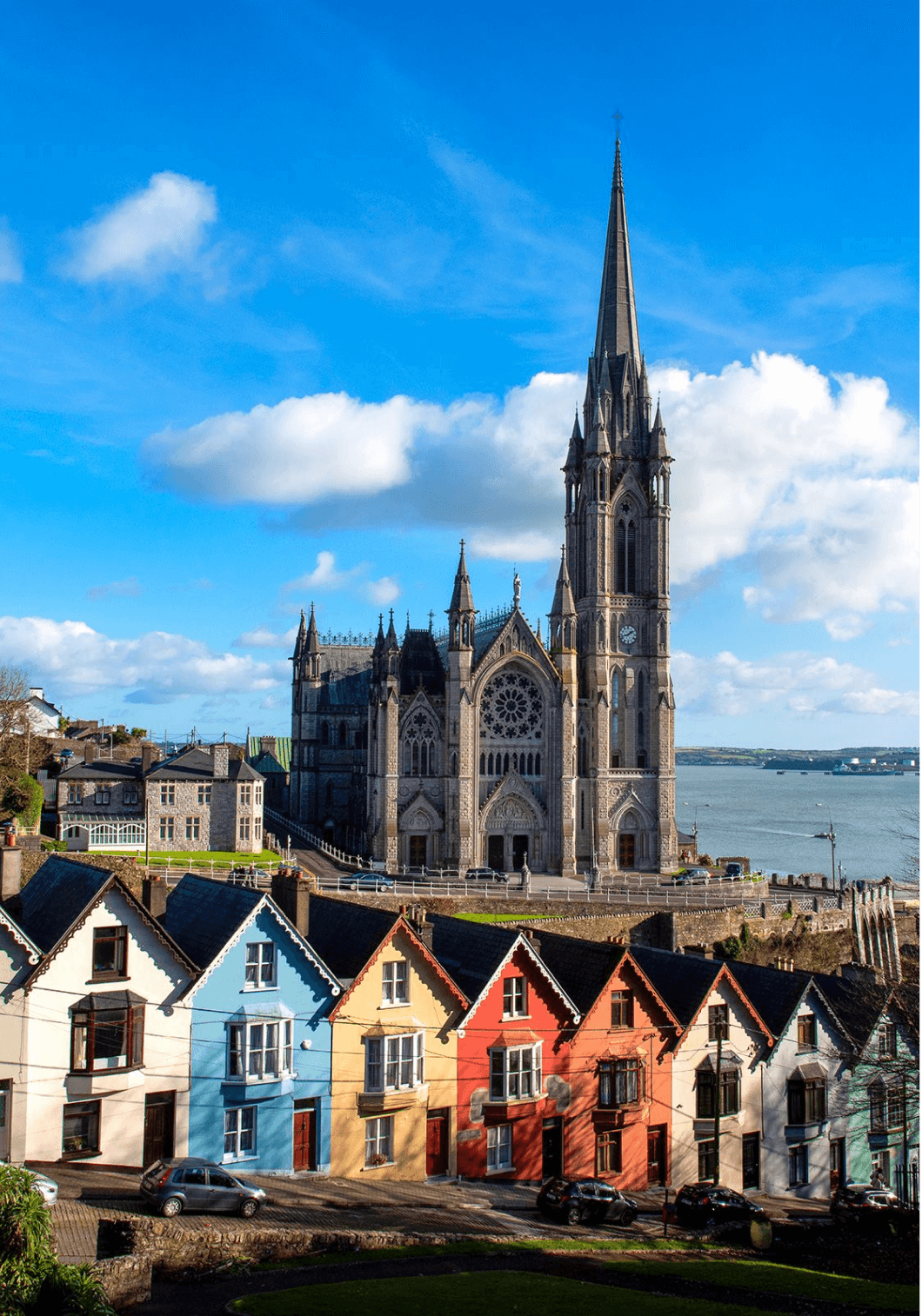 Home Testing - Visit Midleton